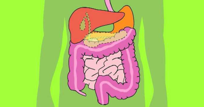 5 Reasons Your Digestive System Isn't Working Properly