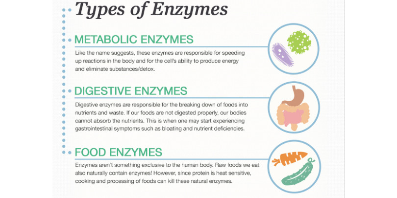 5 Reasons Your Digestive System Isn't Working Properly