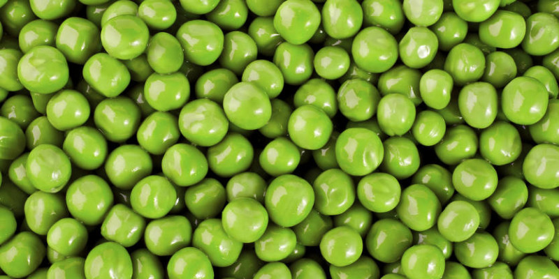 Top 9 Veggies Highest In Magnesium