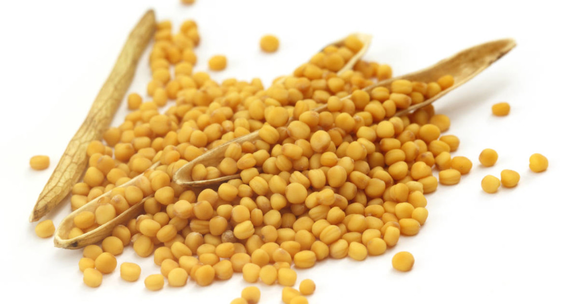 Power Of Mustard Seed For Cancer And Healthy Digestion