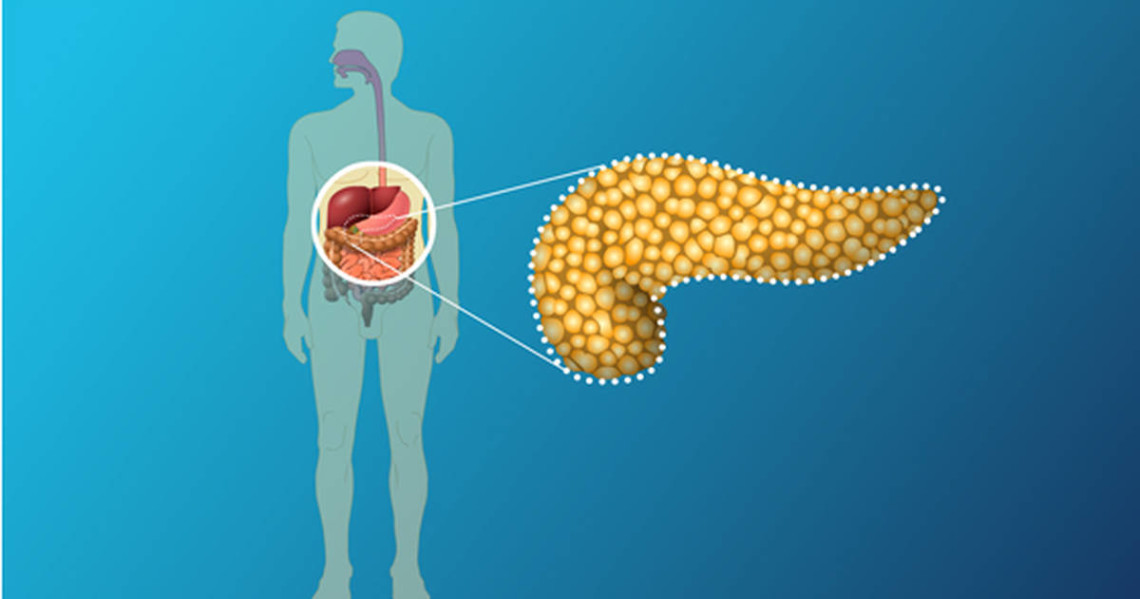 8 Foods That Your Pancreas Will Surely Love