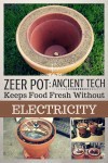 Zeer Pot: Ancient Tech Keeps Food Fresh Without Electricity