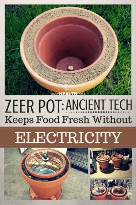 Zeer Pot: Ancient Tech Keeps Food Fresh Without Electricity