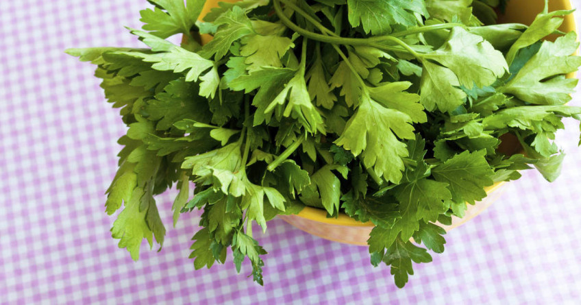 These Herbs Help Remove 80% Of Heavy Metals In The Body