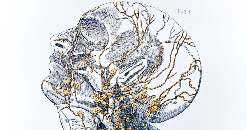 The Tumor Highway: Cancer And The Lymphatic System