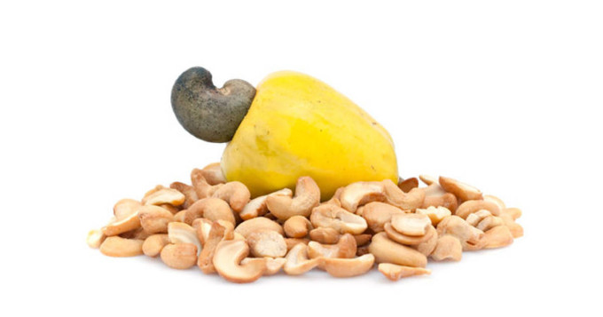 Cashew Nuts Kill Bacteria Bacteria That Causes Tooth Decay