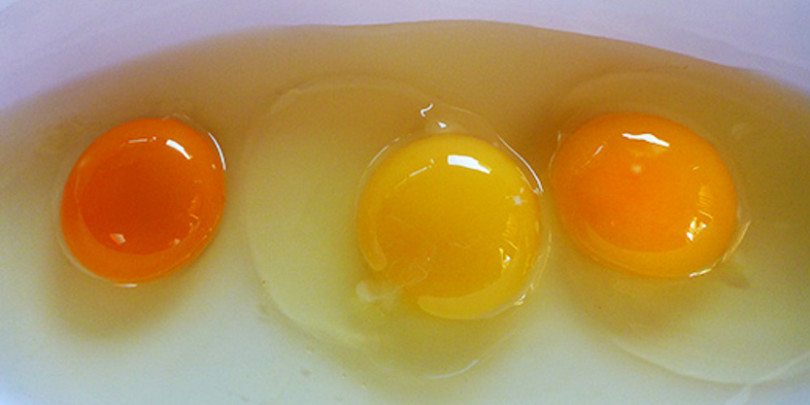 Here's Why These Egg Yolks Have Different Colors
