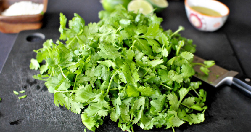 9 Incredible Health Benefits of Cilantro