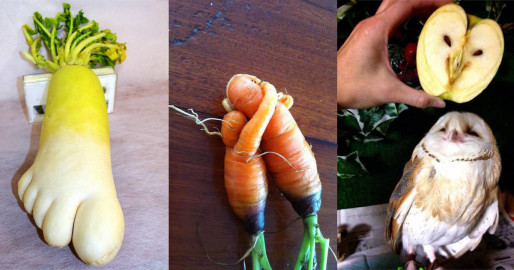 27 Weird Shaped Fruits And Vegetables