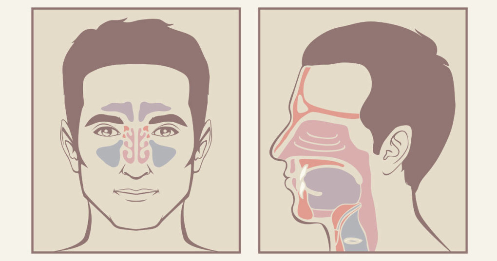 How To Clear Your Sinuses In Just 20 Seconds!