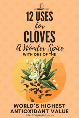 12 Uses For Cloves - A Spice With Strong Antioxidant Value