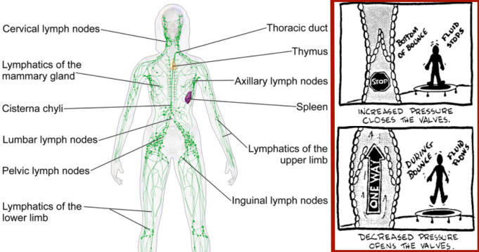 Top 5 Nutrients To Reduce Swelling In Feet And Legs