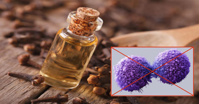 Clove Extract Stops The Growth Of Breast, Colon And Liver Cancer (Make ...