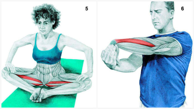 34 Pictures That Show You Exactly What Muscles You're Stretching