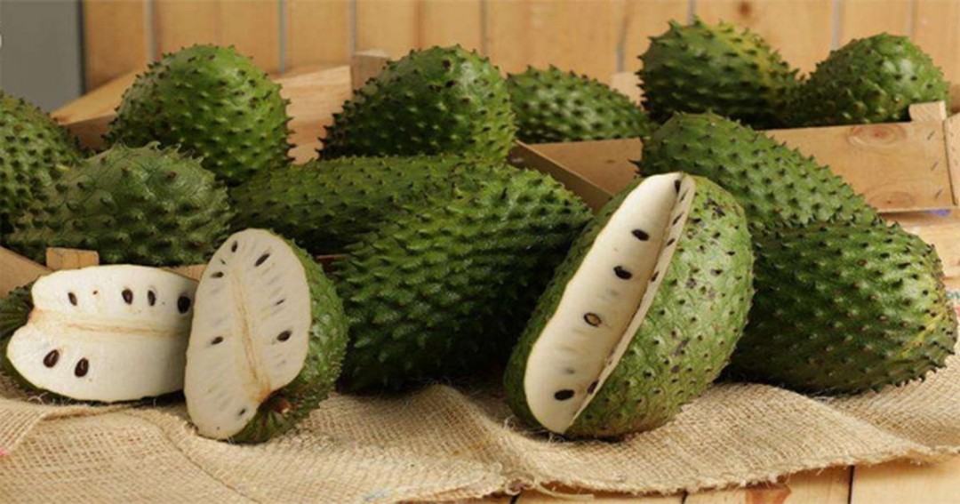 Studies Show THIS Fruit Can Beat Cancer