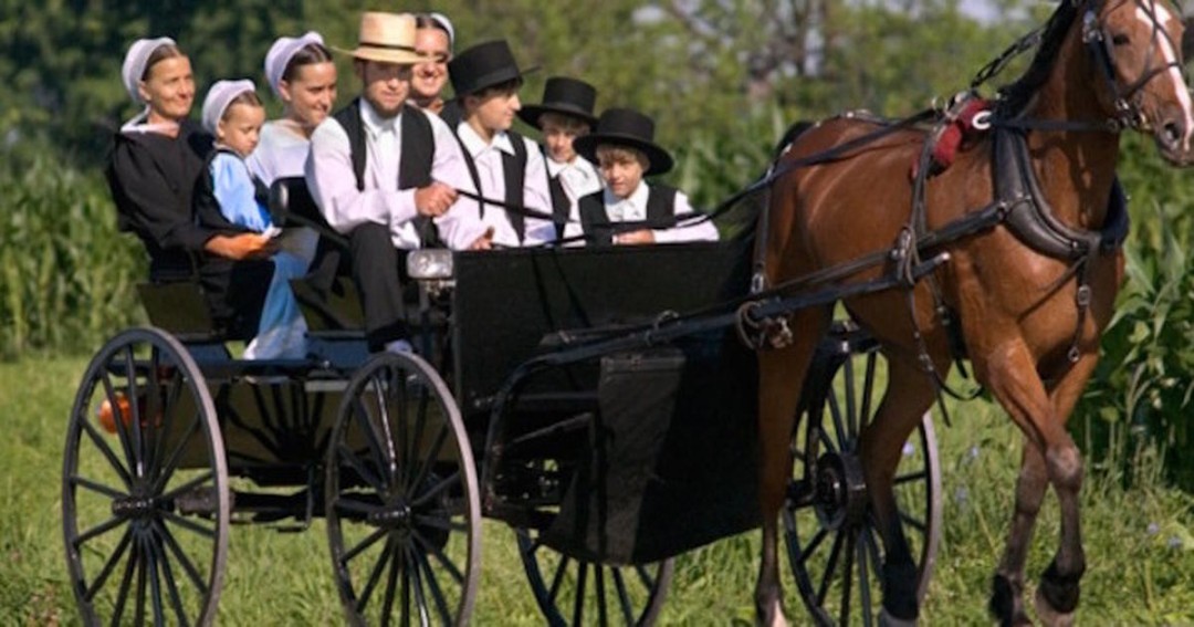 Here's Why The Amish RARELY Get Cancer