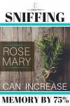 Sniffing Rosemary Can Increase Memory By 75%