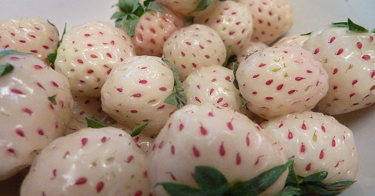 How To Grow Pineberries At Home (They Look Like Strawberries, But Taste ...