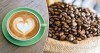 The World Health Organization Confirms: Coffee Does Not Cause Cancer As ...