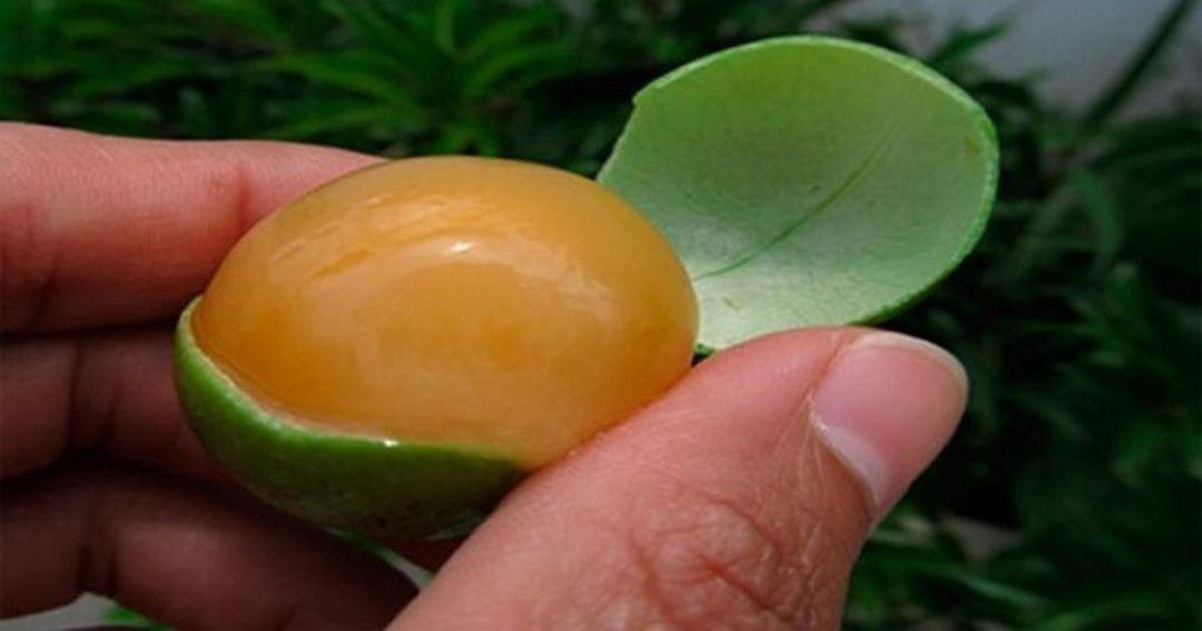 This Fruit Will Fight Insomnia And Boost Brain Function In Minutes