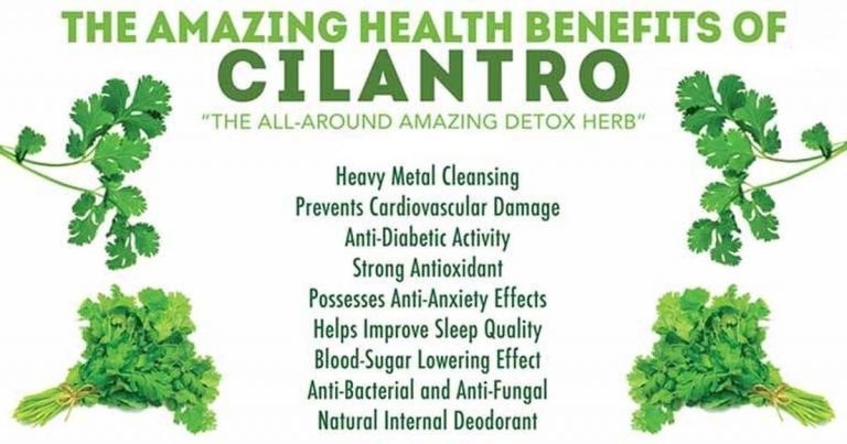 9 Incredible Health Benefits Of Cilantro