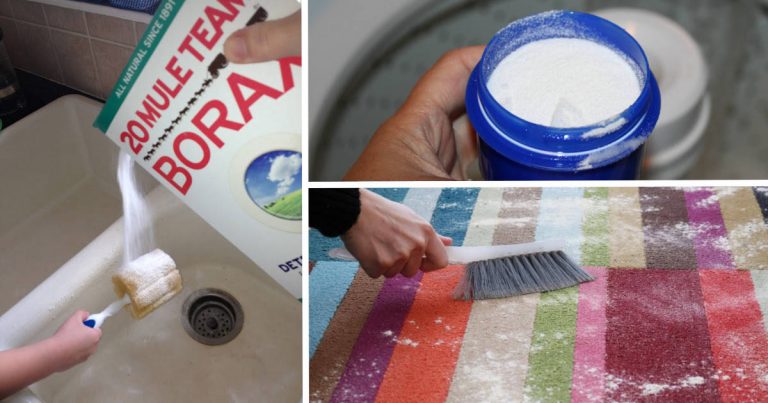 15 Ways Borax Will Change Your Home Forever!