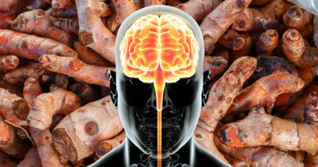 Turmeric: Your Brain Will Physically Change When You Eat This Spice