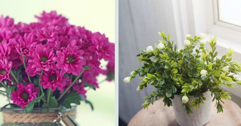 15 Ways To Boost Positive Energy In Your Home