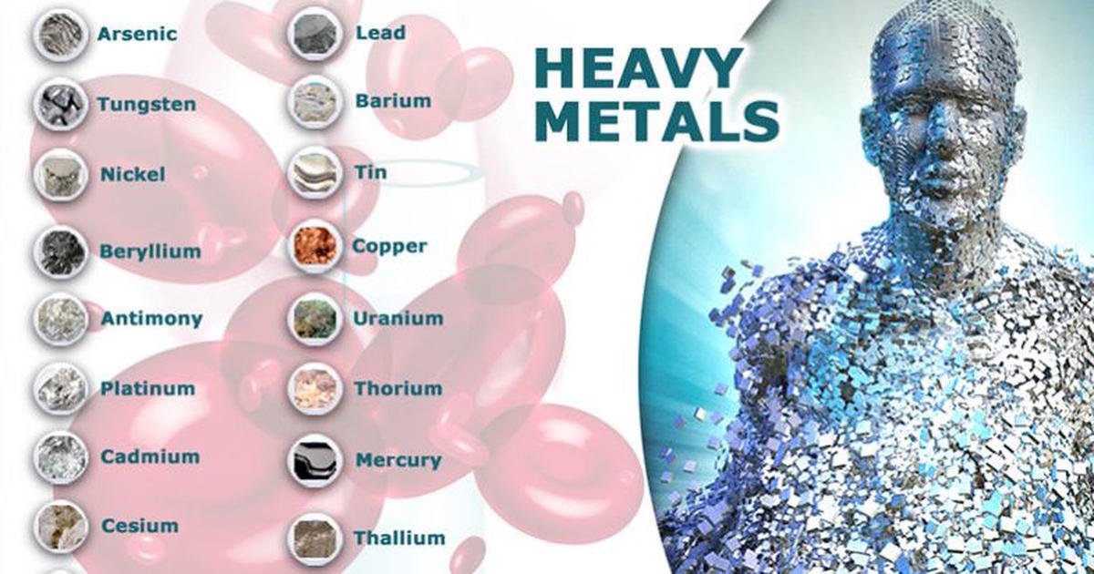 Toxicity And Nutrient Deficiency Cause Chronic Disease