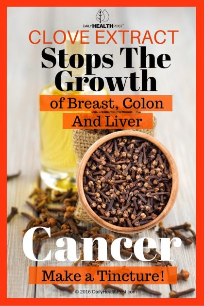 Clove Extract Stops The Growth Of Breast, Colon And Liver Cancer (Make ...