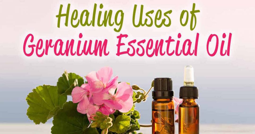 The Many Benefits Of Geranium Essential Oil And How To Make Your Own
