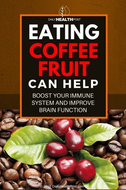 Coffee Fruit Fights Free Radicals And Improves Brain