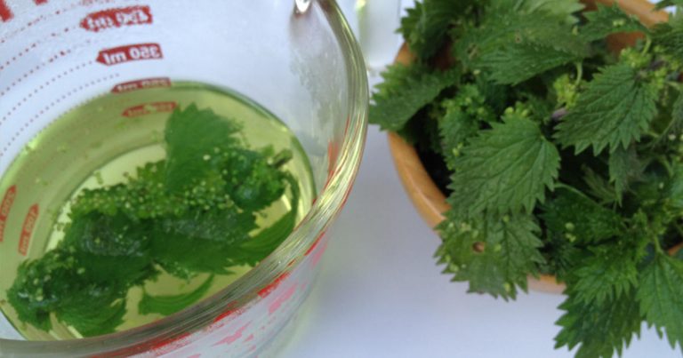 Simple Stinging Nettle Remedy To Balance Hormone And Stop Hair Loss