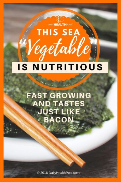 Dulce Seaweed Is Nutritious And Tastes Just Like Bacon!
