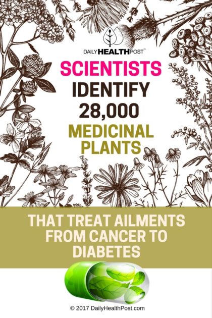 Scientists Identify 28,000 Medicinal Plants That Treat Any Ailment