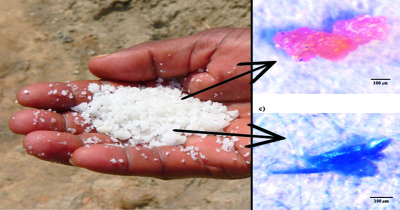 Microplastics In The Ocean Contaminate Fifteen Sea Salt Brands