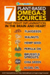 7 Best Vegan Omega-3 Sources On Planet Earth