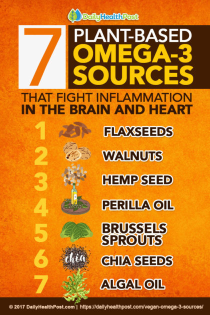 7 Best Vegan Omega-3 Sources On Planet Earth