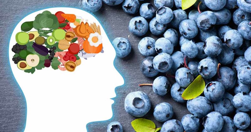 17 Best Memory Techniques For A Sharp Mind At Any Age
