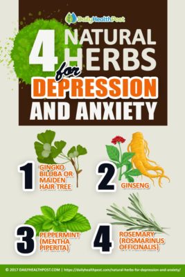 4 Natural Herbs For Depression And Anxiety That Protect Your Brain