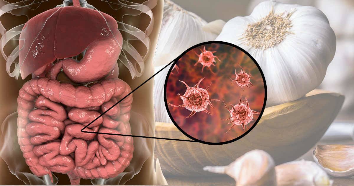 The Natural Remedy That Will PURGE Parasites From Your Body!