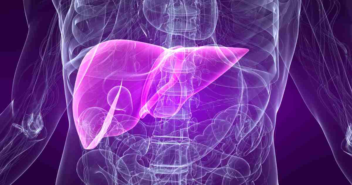 Fatty Liver Disease: 6 Symptoms You Need to Know