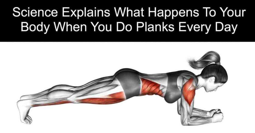 7 Things That Happen When You Start Doing Planks Every Day