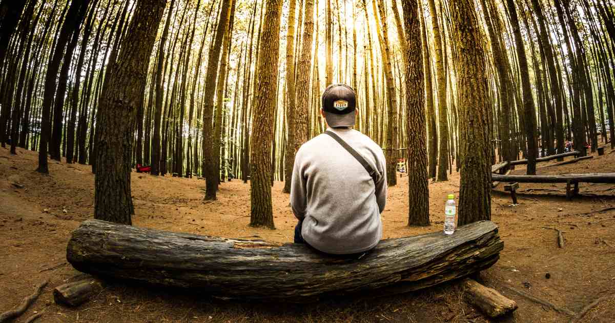 Having More Trees Around Us Reduces Stress