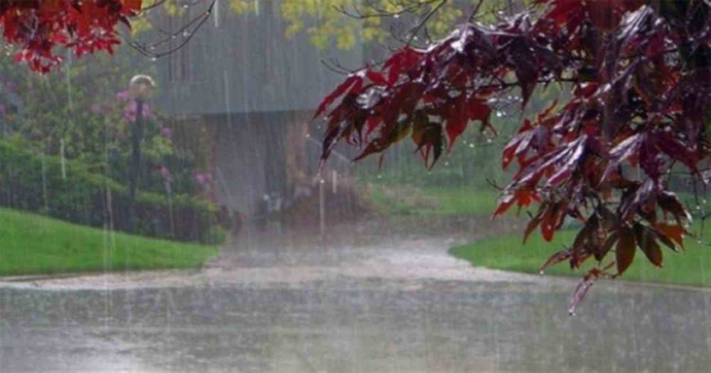 8 Health Benefits Of Walking In The Rain