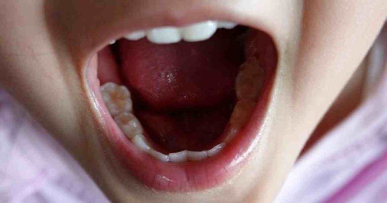 "Rapid Evolution" Means That People Are Now Being Born Without Wisdom ...