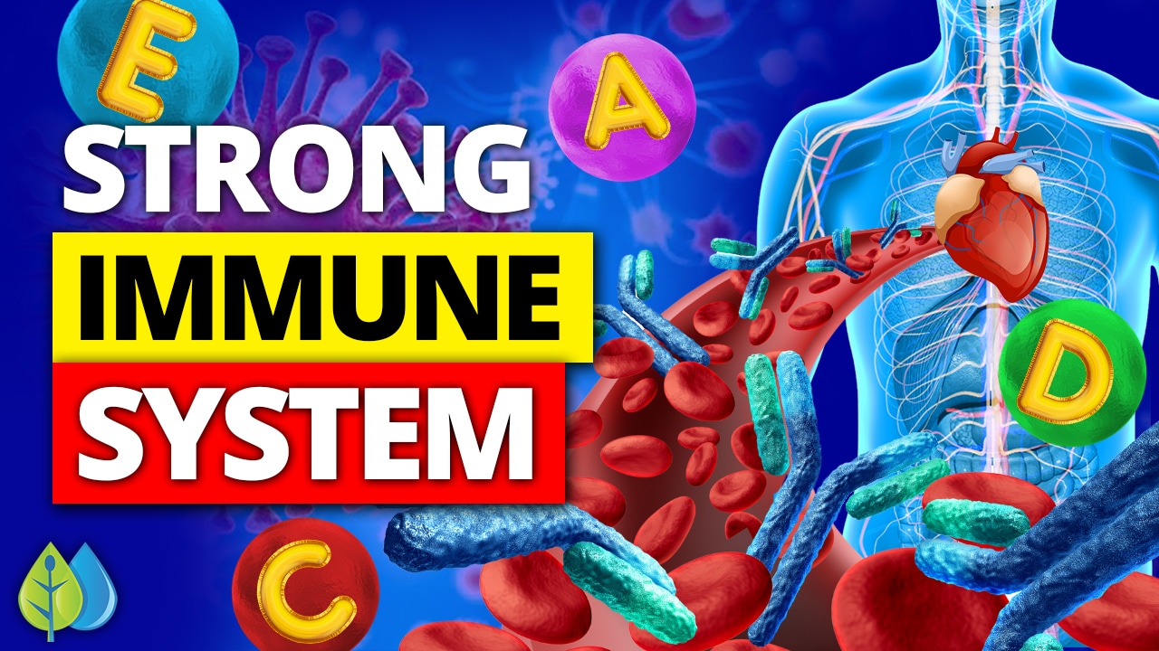 Top 13 Immunity Boosting Foods