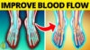 Top 10 Foods That Improve Blood Circulation In Legs