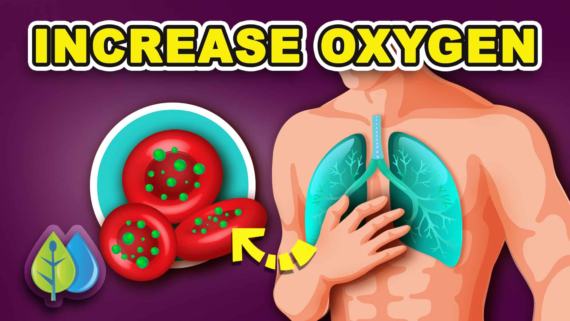 Top 6 Ways To Increase Oxygen In Blood Naturally