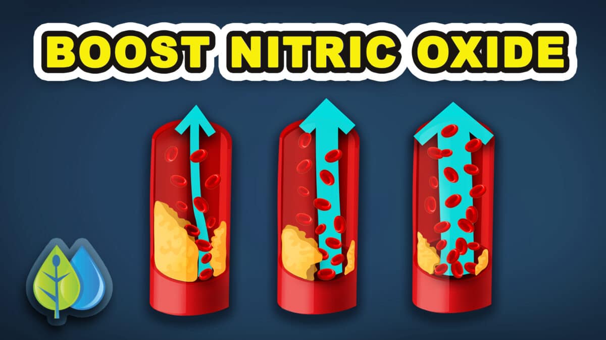 Top 6 Vitamins To Boost Nitric Oxide